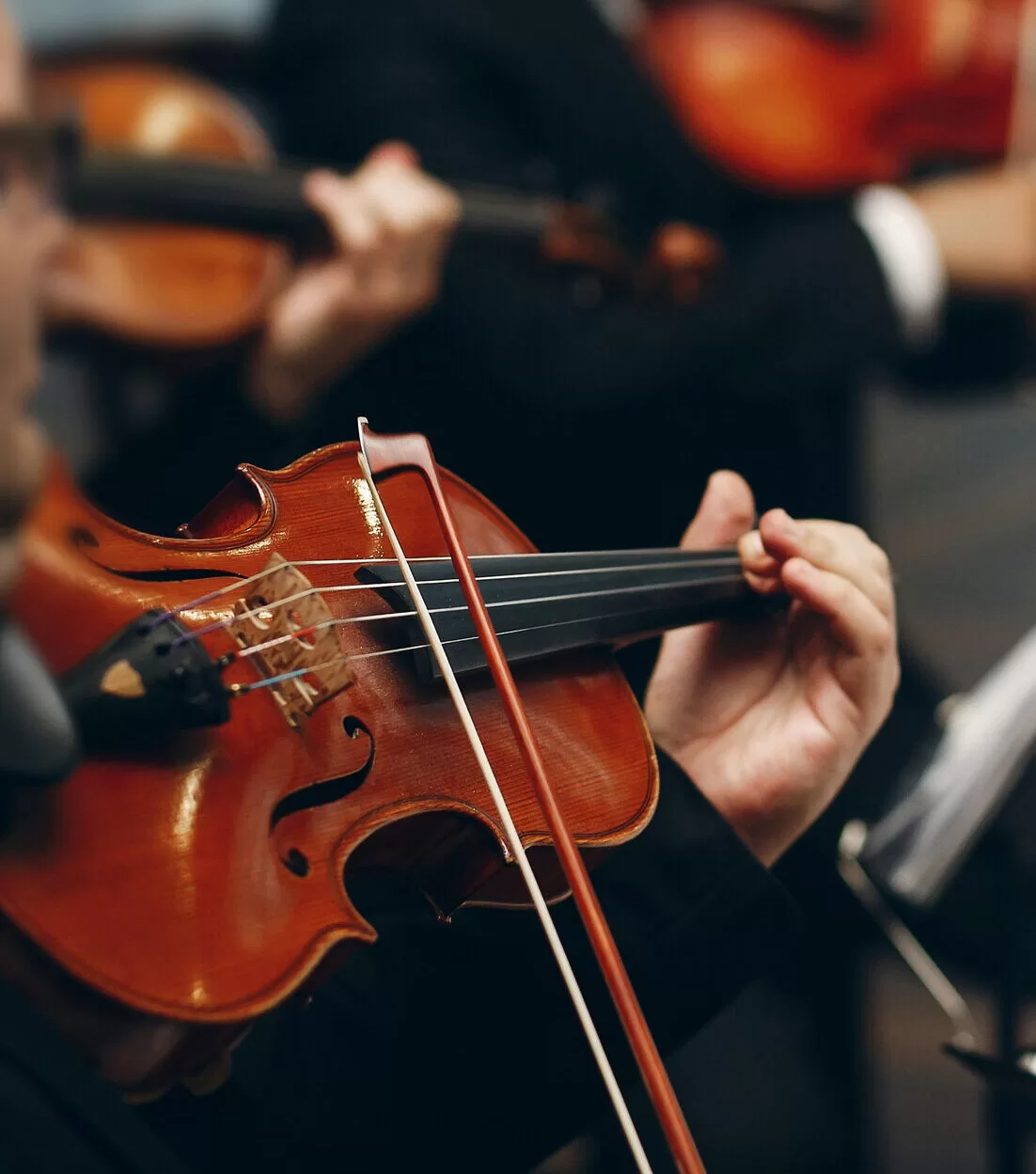 アンサンブル体験会 - Violin Project